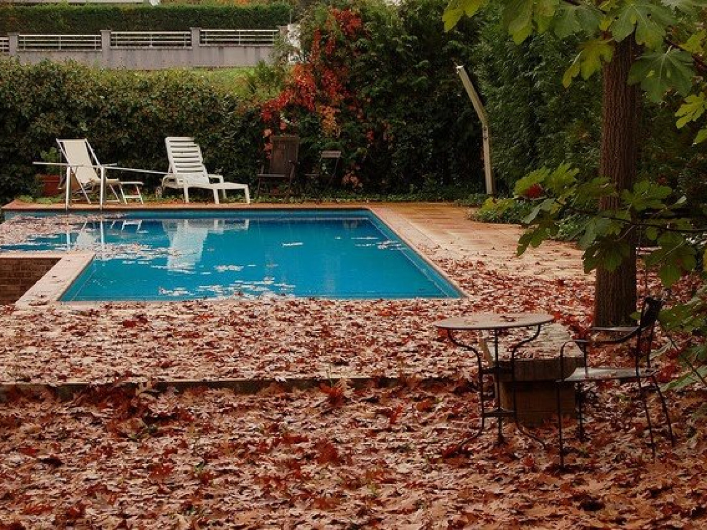 Pool Cleaning Services | Tulsa, Owasso & Broken Arrow, OK | Hasz Life Pools